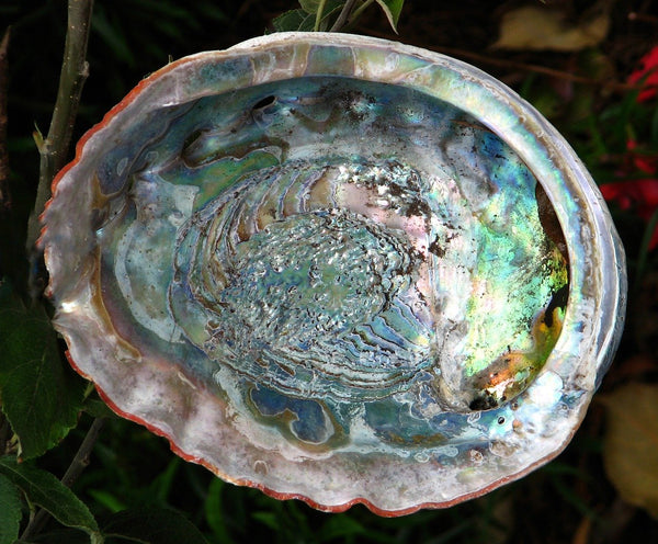 Sterling Silver and Abalone Shell Butterfly Pendant – S&S Argento